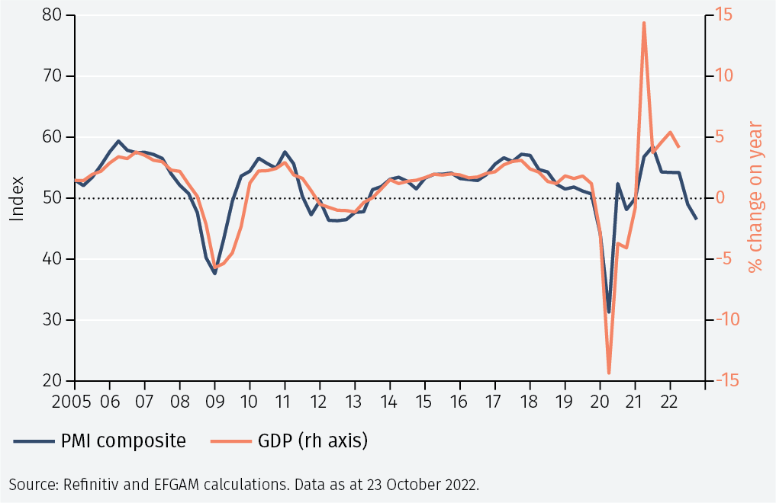 How deep will the eurozone recession be? - EFGAM New Capital